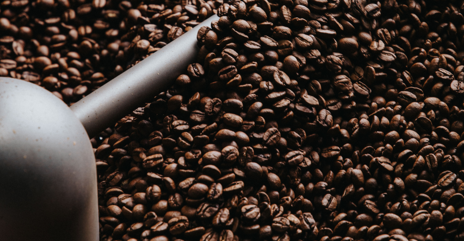 Flava Coffee Services | Premium Coffee Solutions