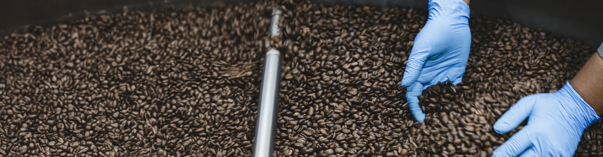 Flava Coffee Services | Premium Coffee Solutions
