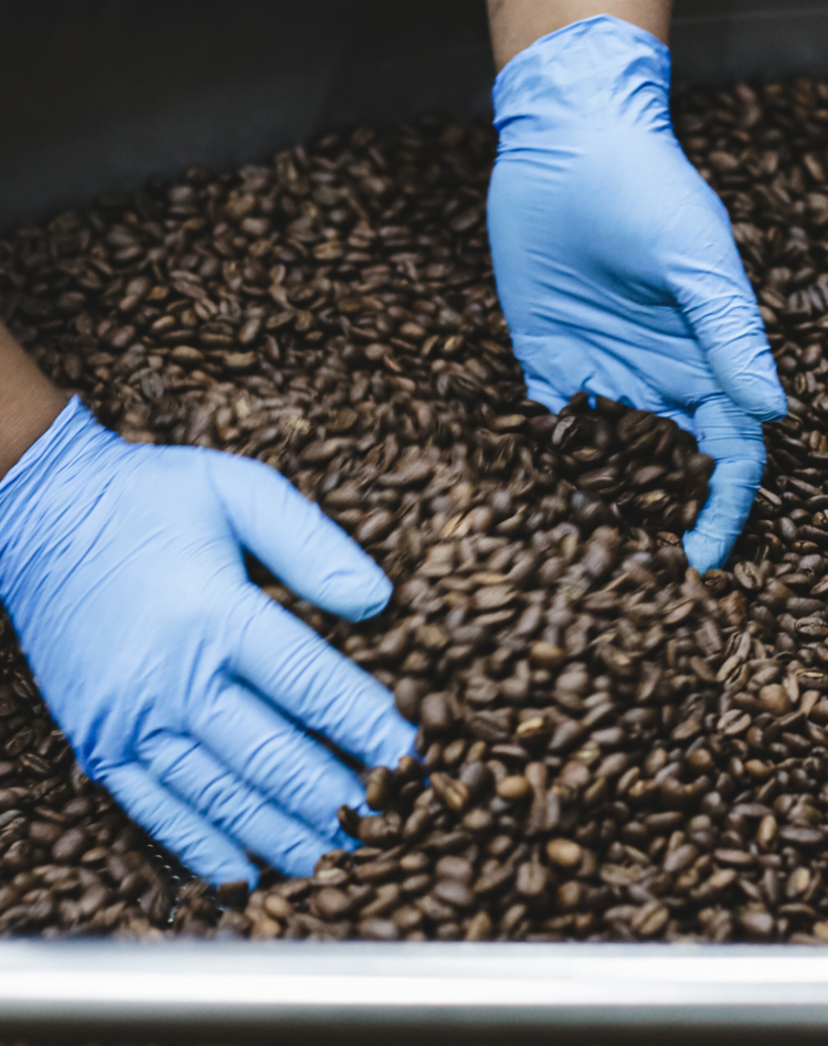 Flava Coffee Services | Premium Coffee Solutions